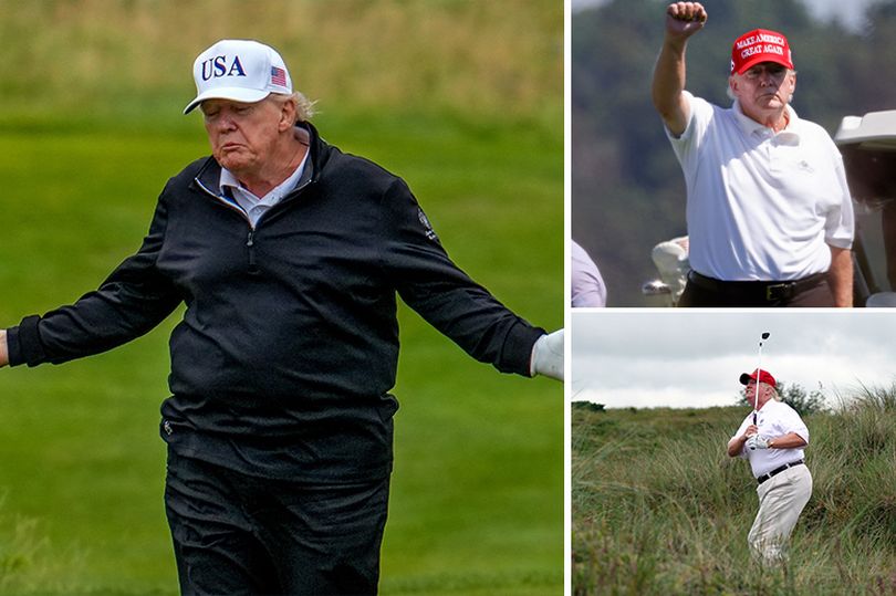 Donald Trump complained about the kitchen at golf club with 'flies all ...