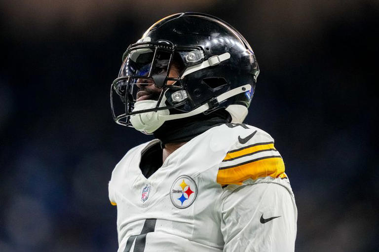 DK Metcalf quickly hit with huge NFL punishment after punching fan ...