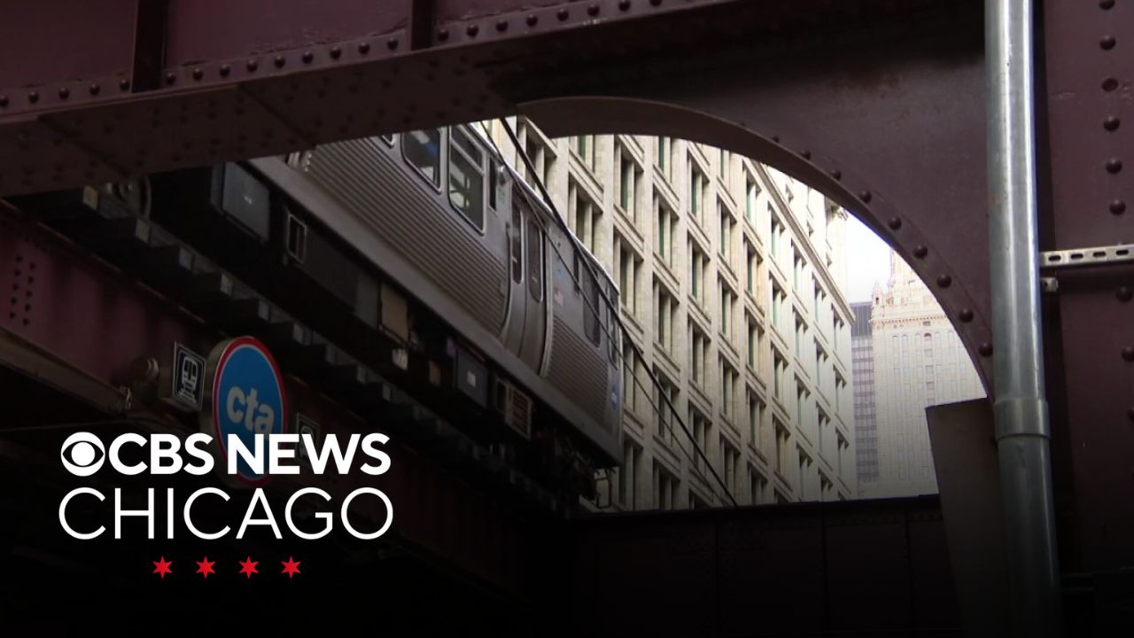 Mental health gaps exposed after CTA Red Line attack