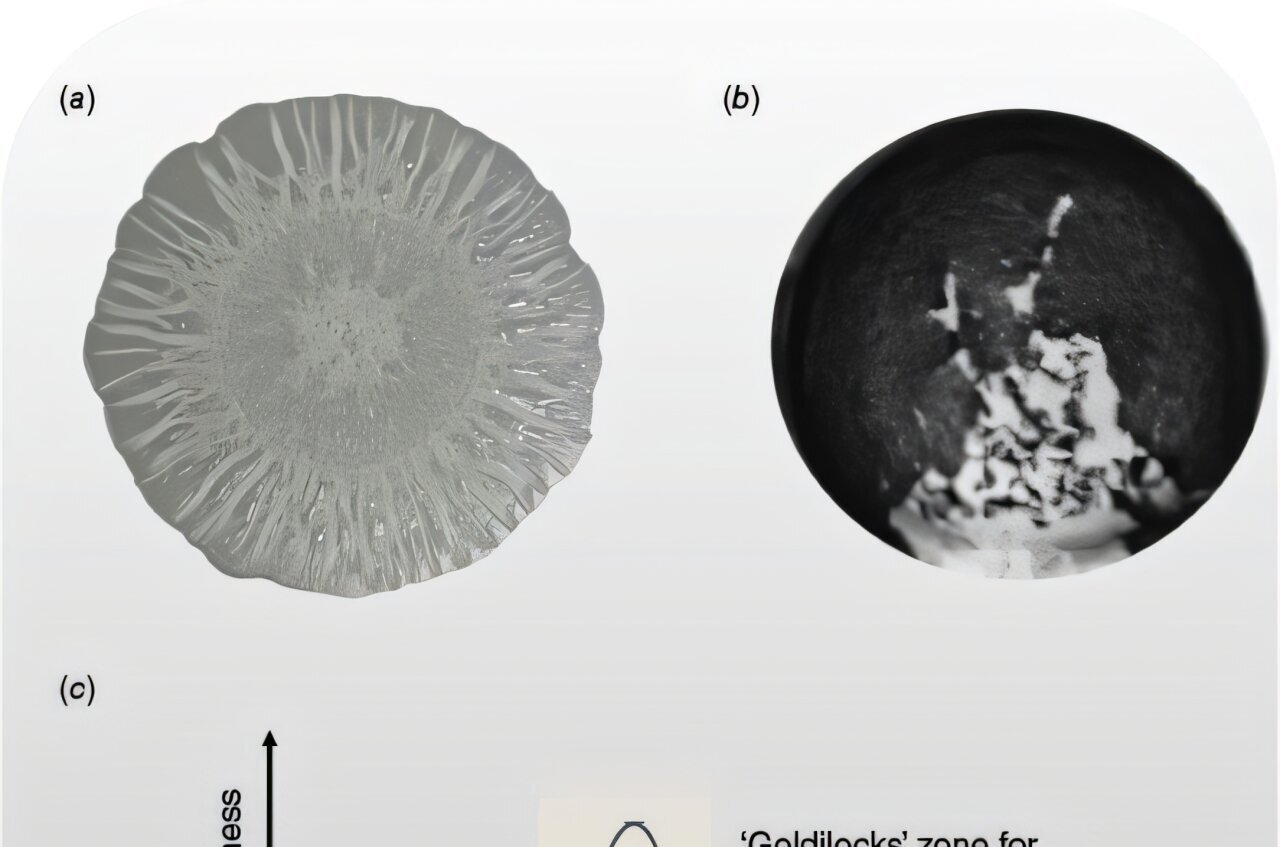 Microbial glues go from foe to friend with a simple chemical tweak