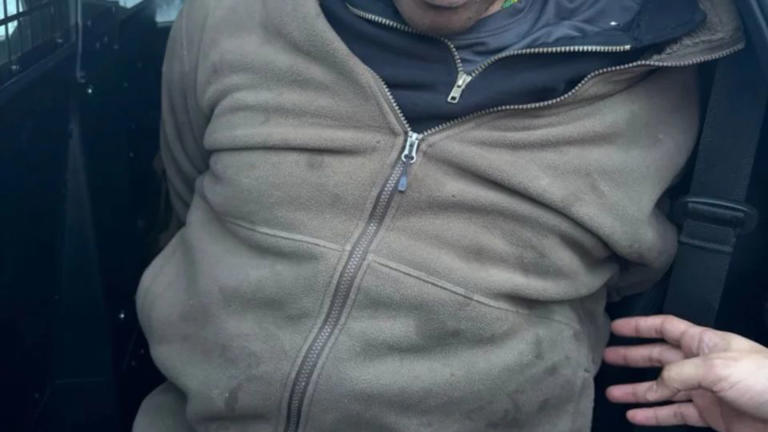 Agentes del ICE en St. Paul, Minnesota, abren fuego tras ser embestidos ...