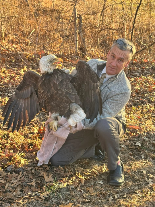 Connecticut State Police assist in bald eagle rescue