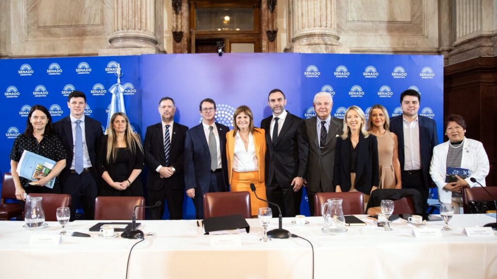 El Senado define el presupuesto 2026: el oficialismo cede en educación ...