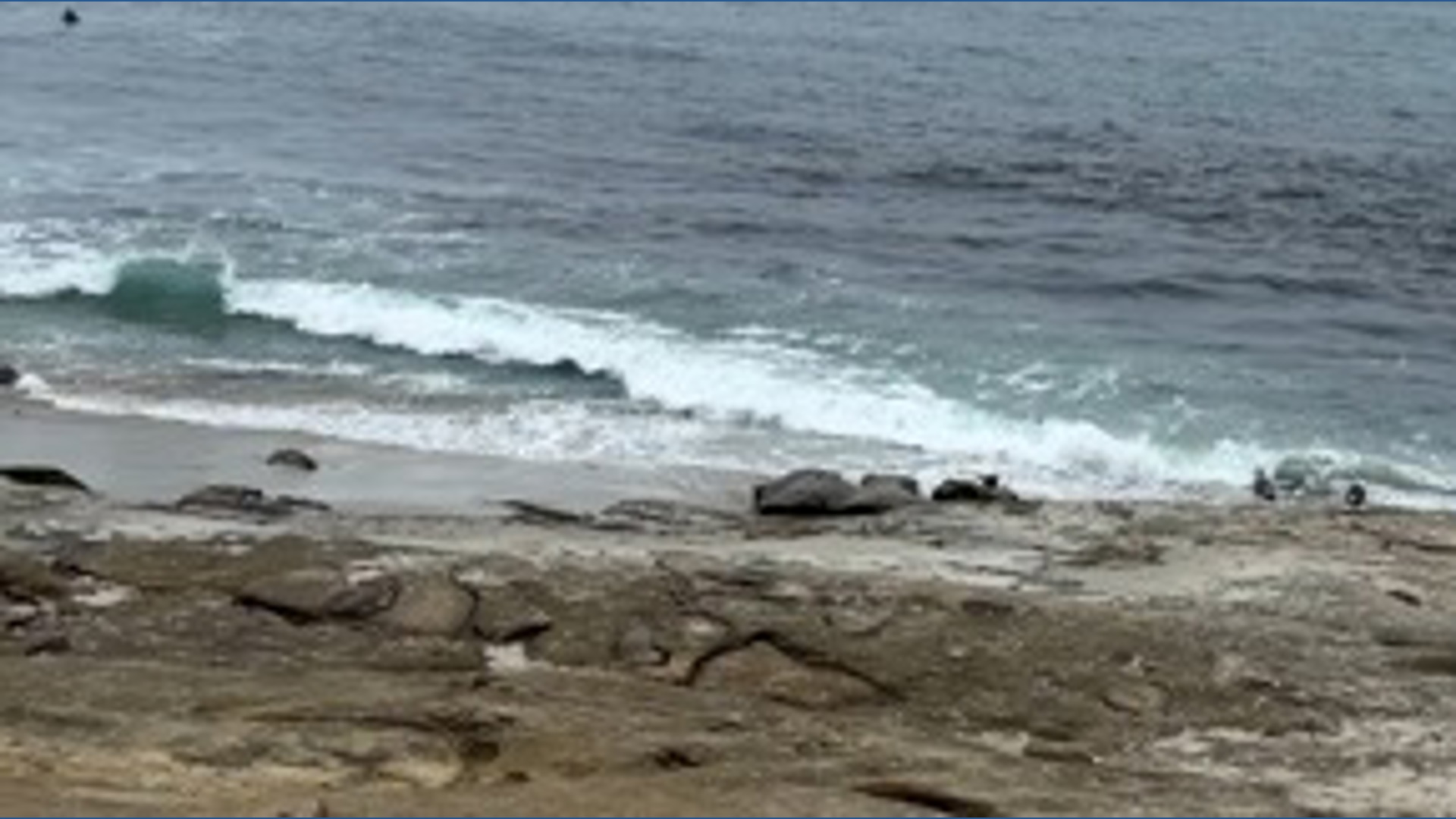 The San Diego surf report | Dec 22