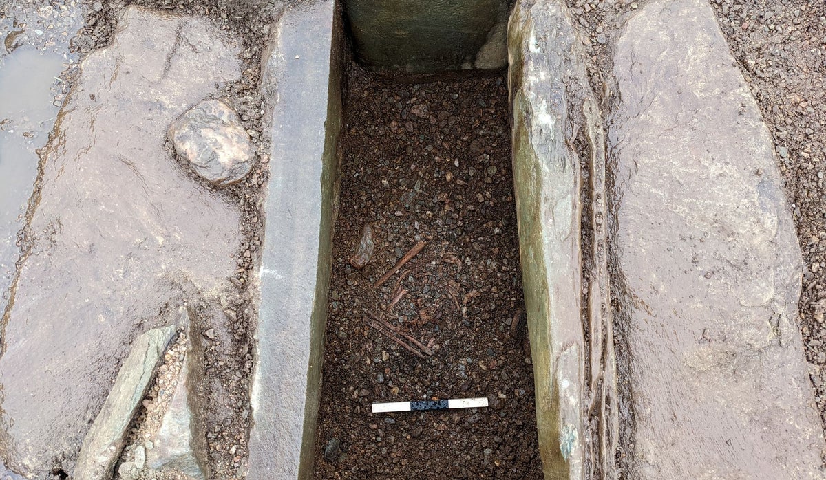 Fresh details emerge on remains of Bronze Age people found by farmer