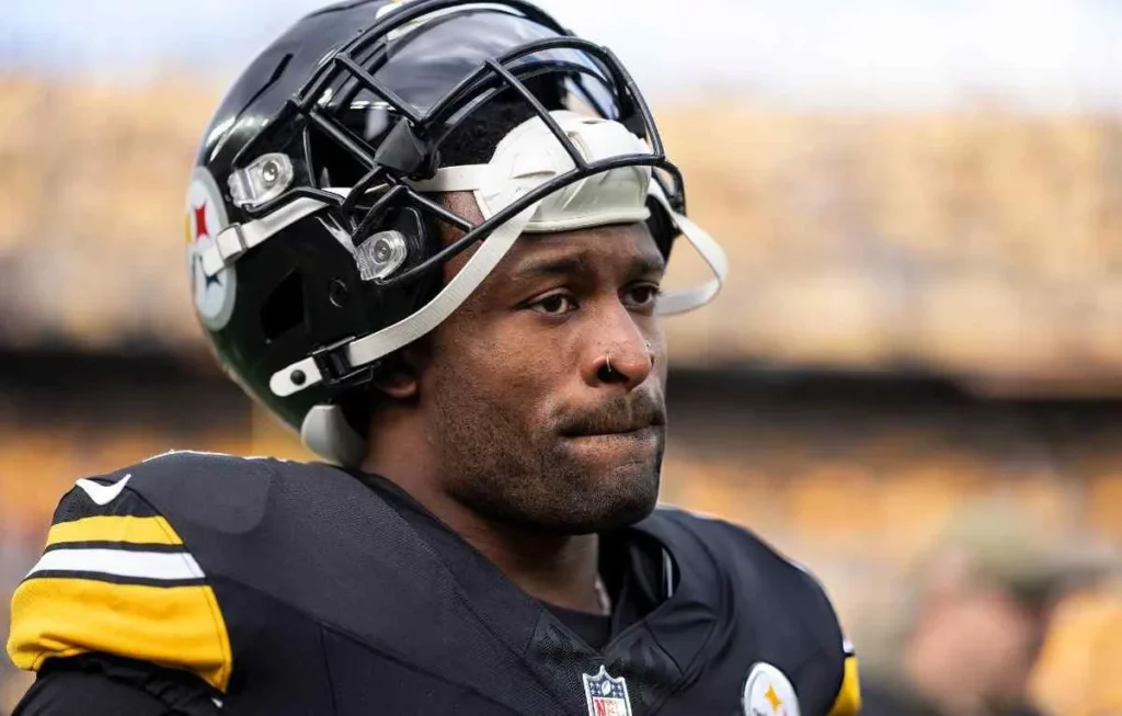 Steelers’ DK Metcalf punished by NFL for swinging on Lions fan