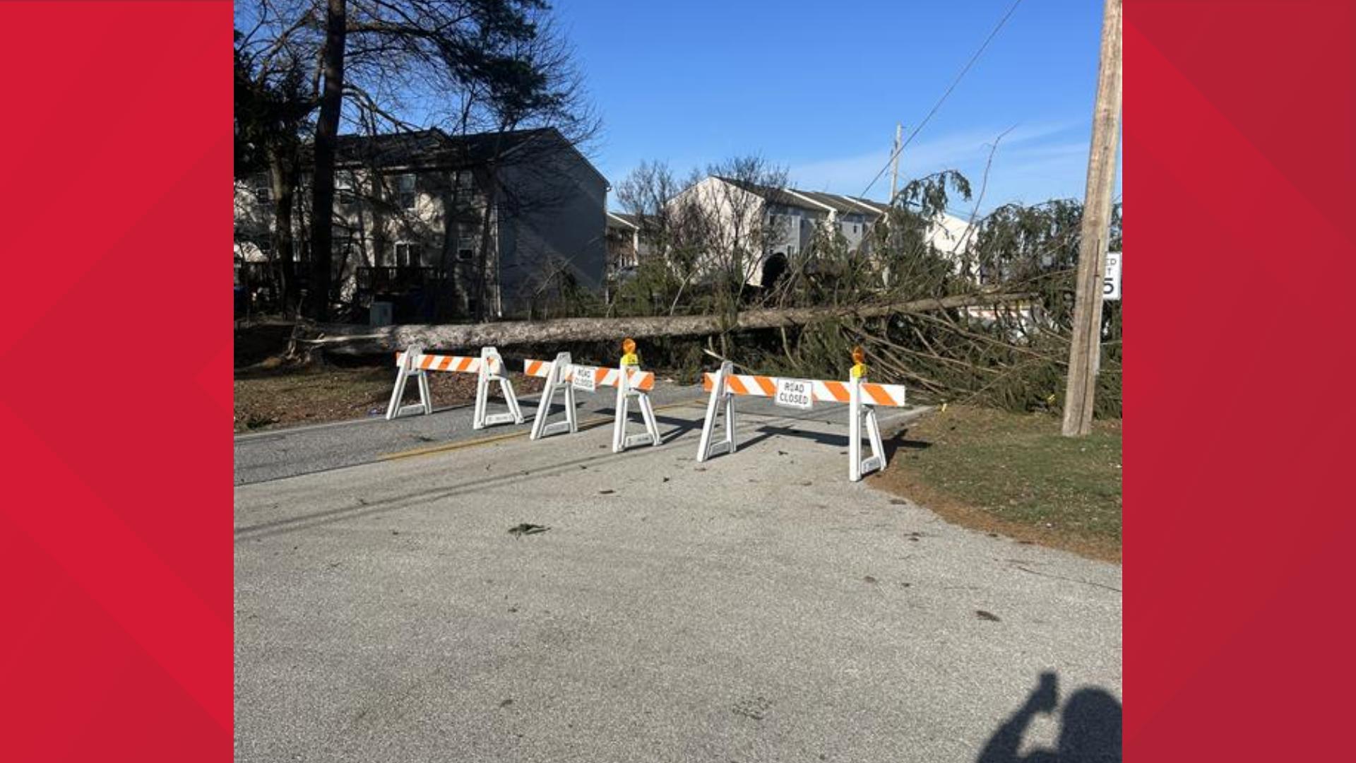 Downed tree closes road in York County