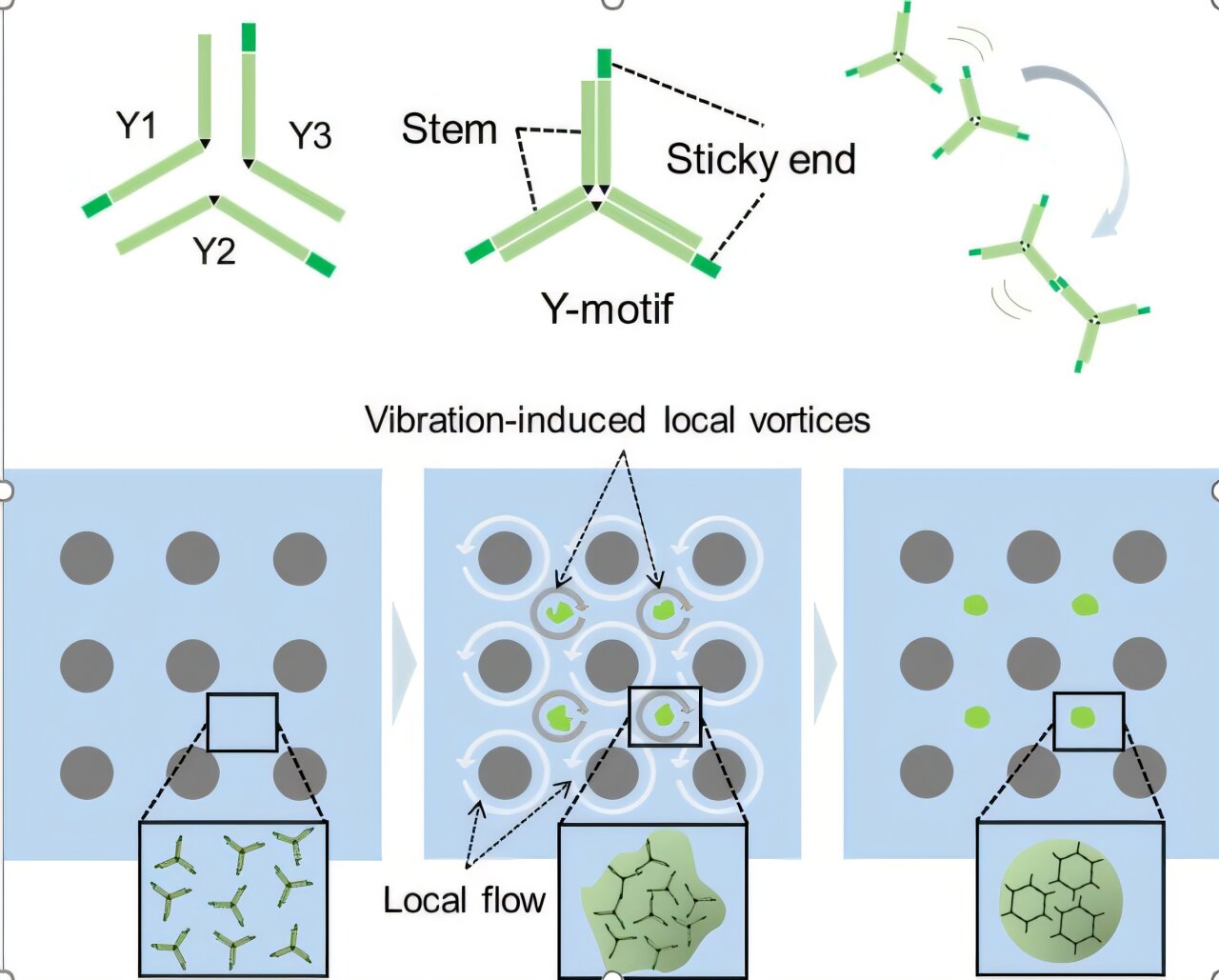 New microfluidics technology enables highly uniform DNA condensate ...