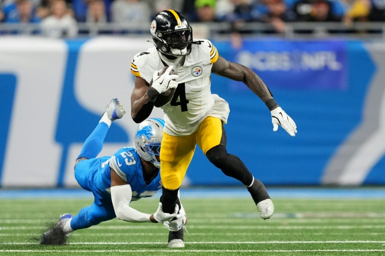 Steelers' Metcalf suspended two games over fan outburst