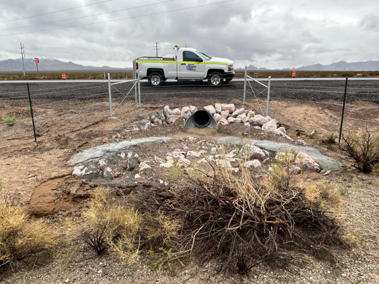NDOT finishes US 95 project, aims to protect endangered desert species