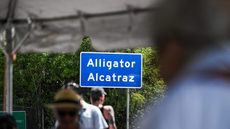 Florida’s alligator Alcatraz ‘box’ may amount to torture, says Amnesty ...