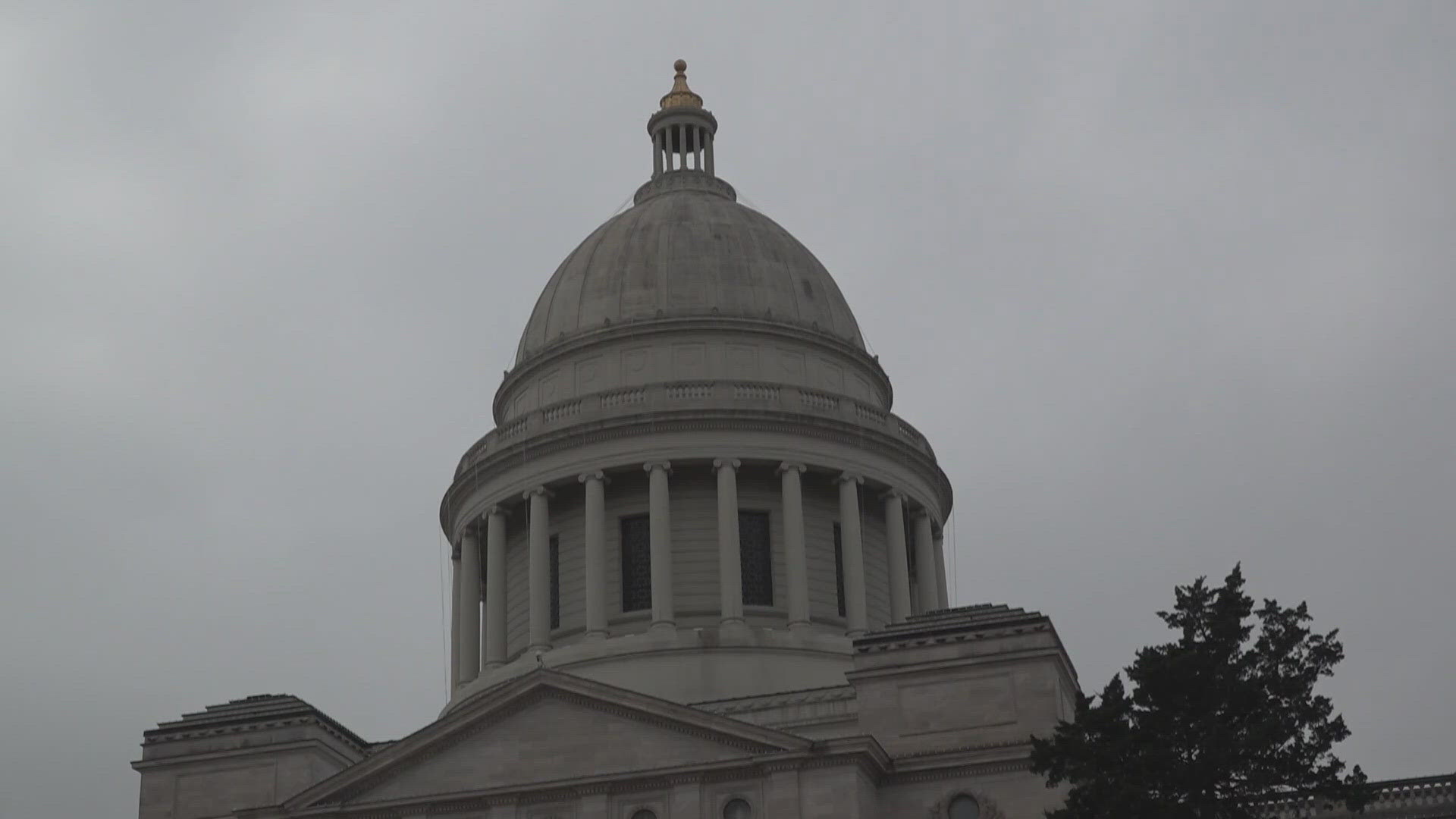 Latest news | Impacts from the marijuana reclassification