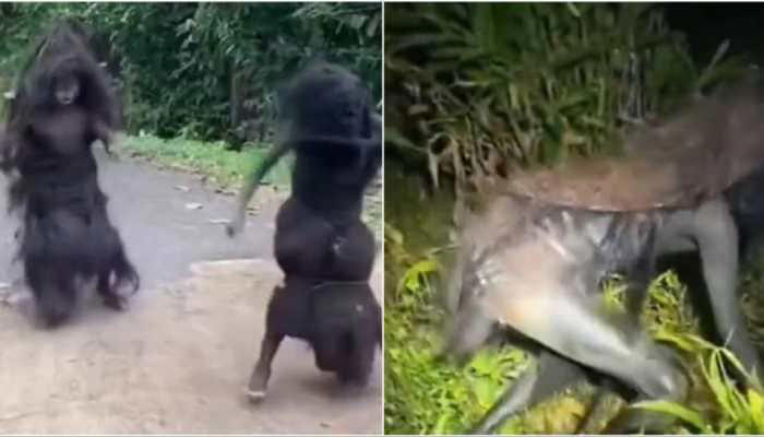 The tribe that banned razors: Meet 1.2M 'anarchists' who haven't cut ...