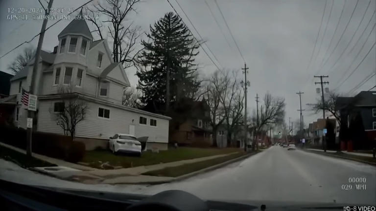 Pint-sized perps lead cops on frantic chase — after they learned how to ...