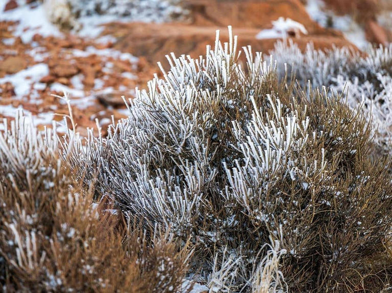 Sub-zero winter in Saudi Arabia: Historic -10°C in Hail, snowfall in Tabuk