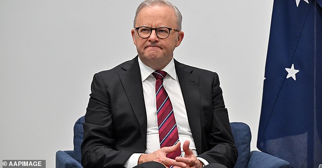 Anthony Albanese announces massive changes to family travel benefits ...