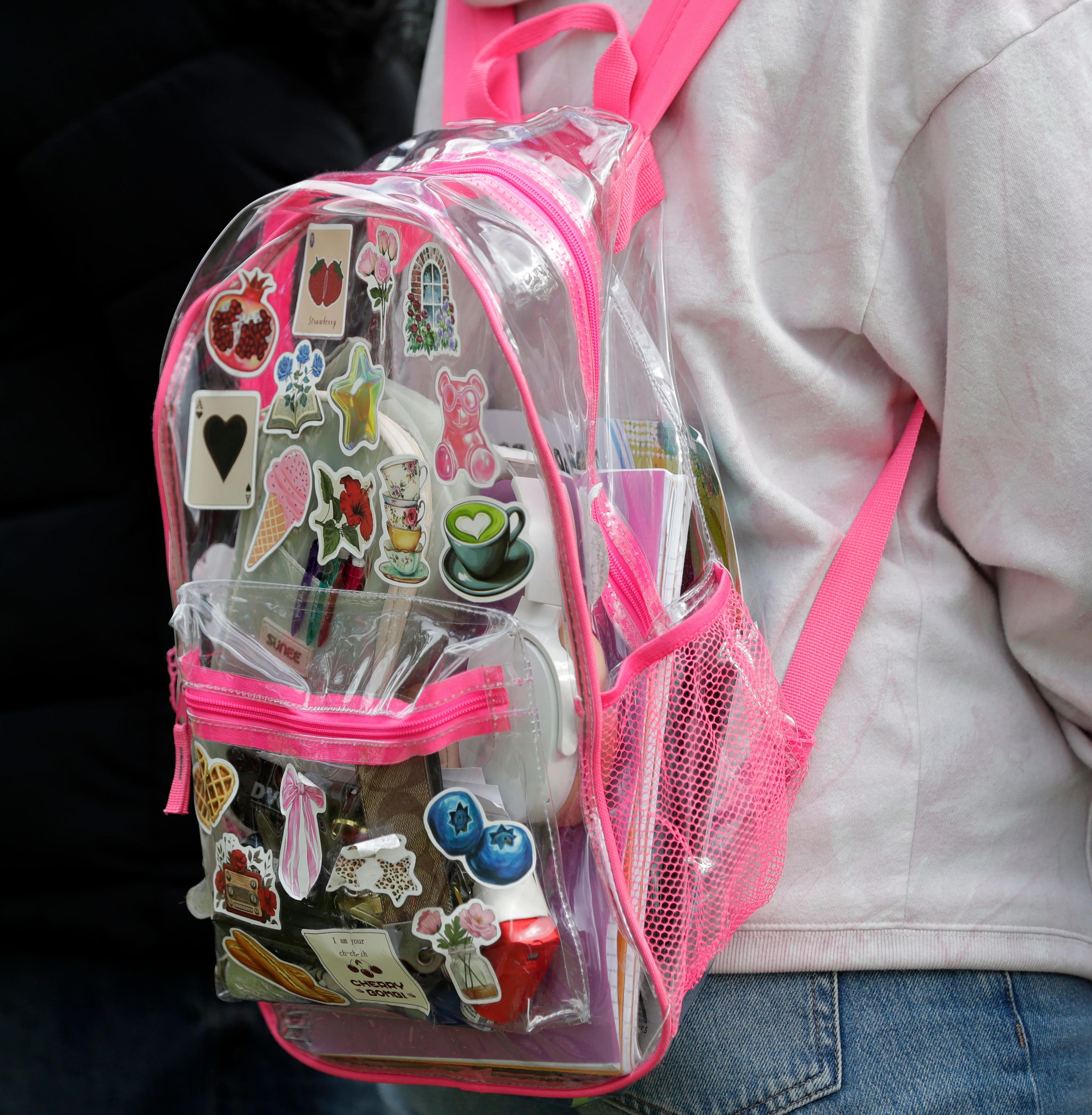 Green Bay School Board vetoes piloting weapons detectors in high schools