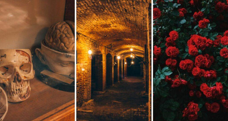 14 weird things to do in Indianapolis, Indiana