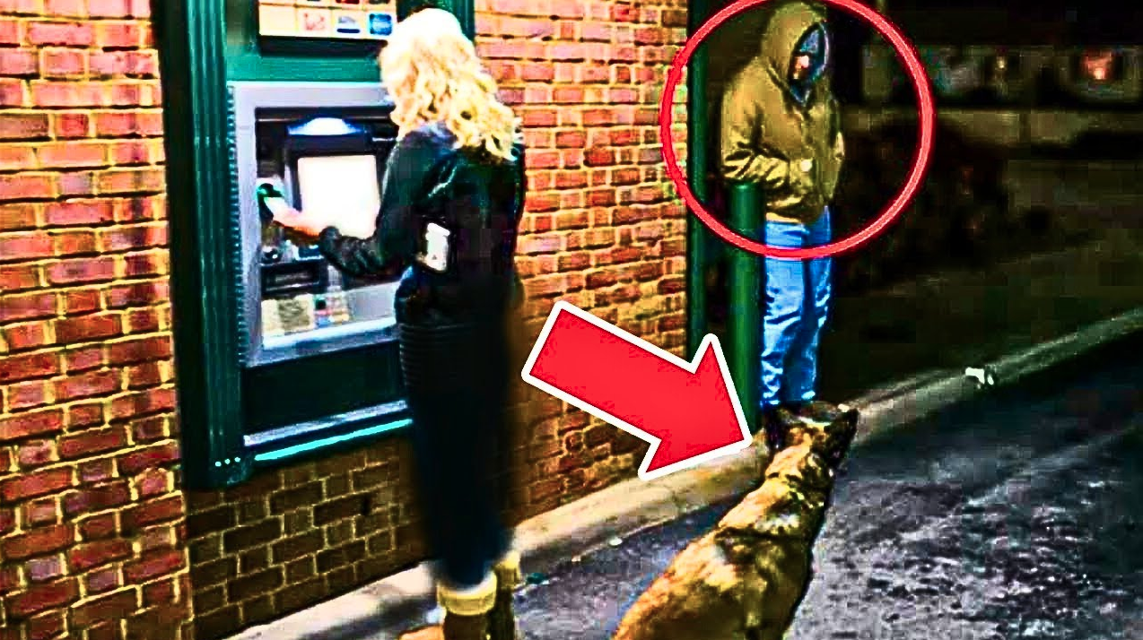 Security footage captures unusual moment during ATM robbery
