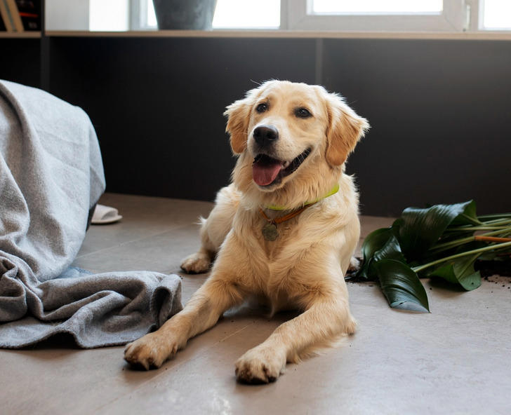 12 stories that prove kindness works even when nothing else does