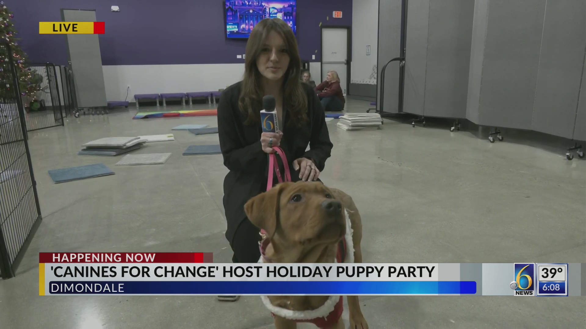 Canines for Change hosts holiday puppy party