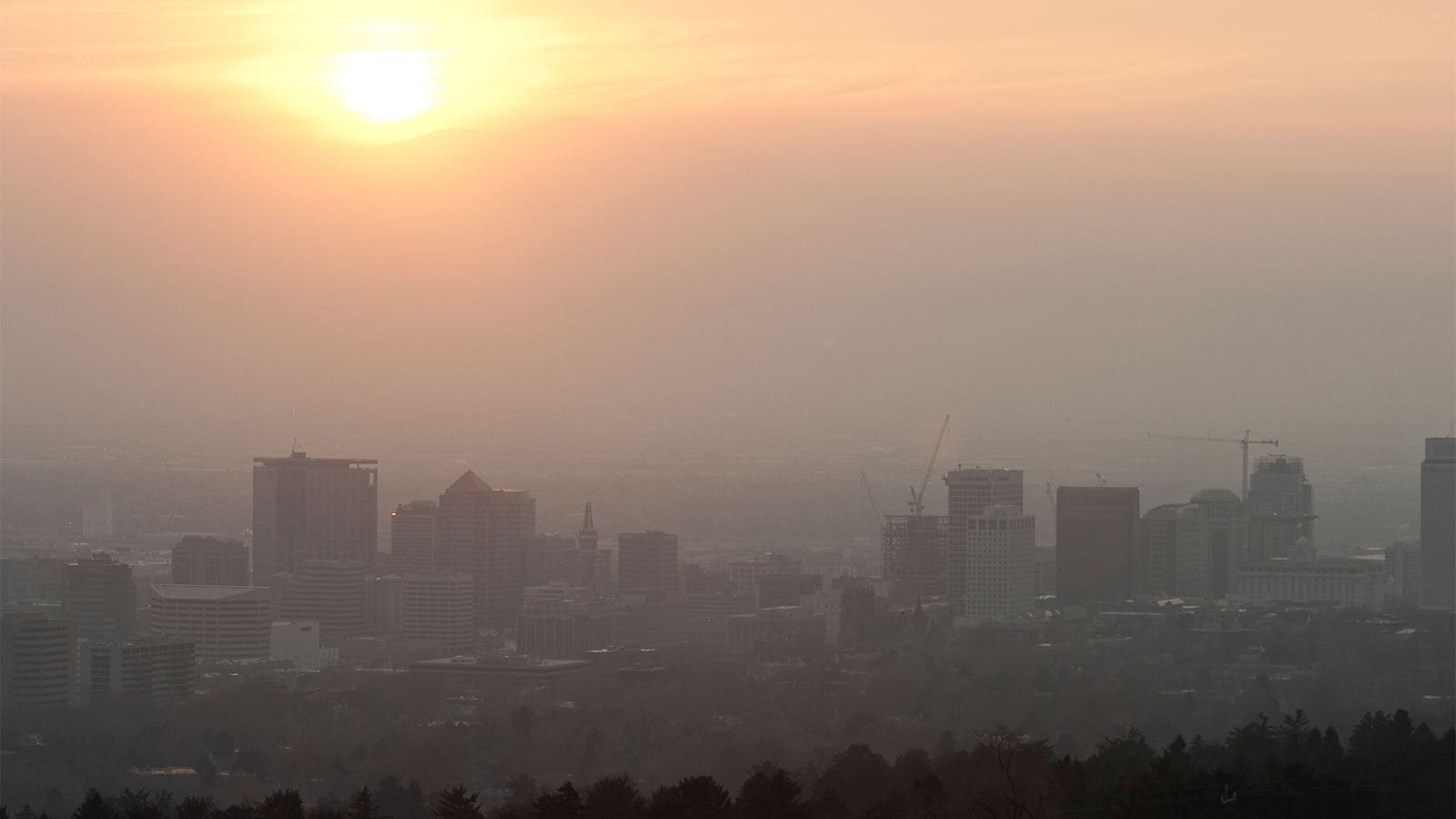 Air pollution linked to depression