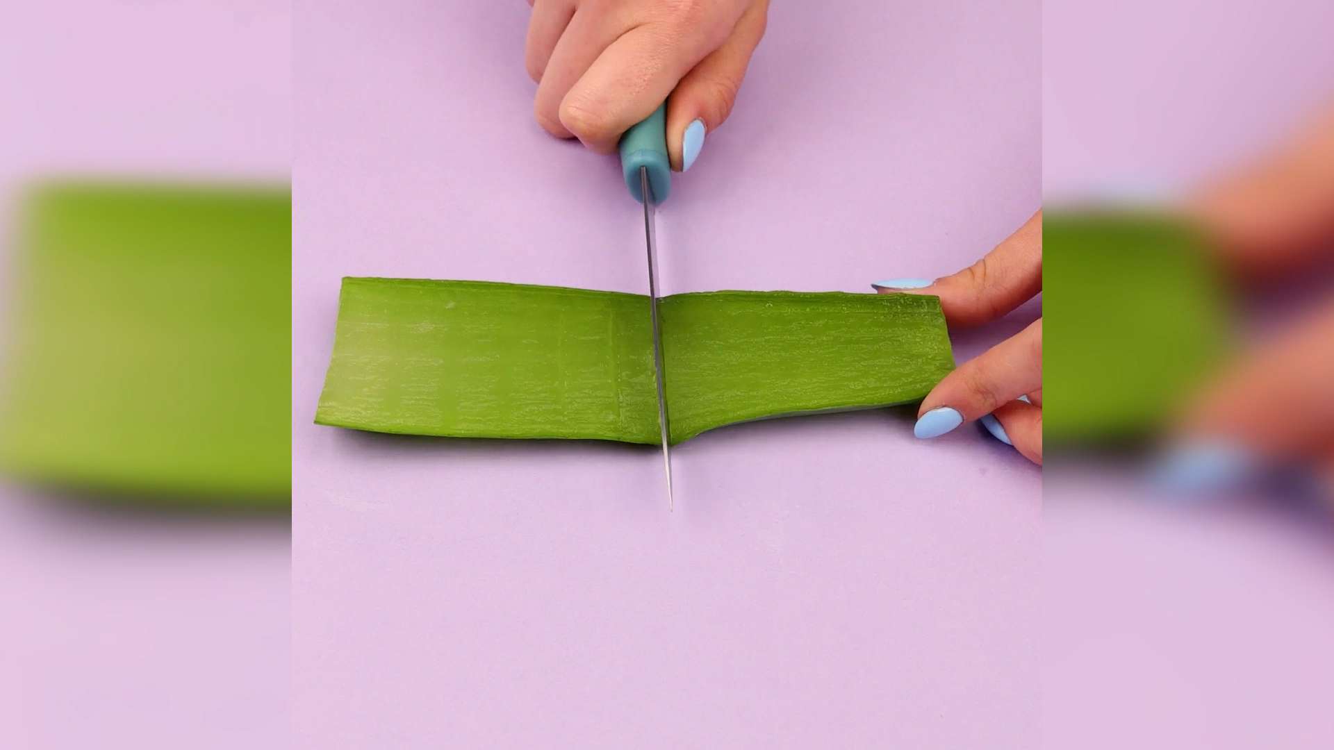 Desvela los usos del aloe vera