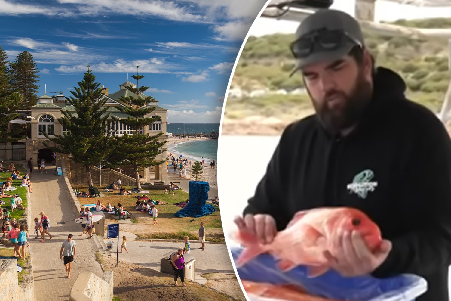 Aussie dad reveals stark consequence of fishing ban as licences ...