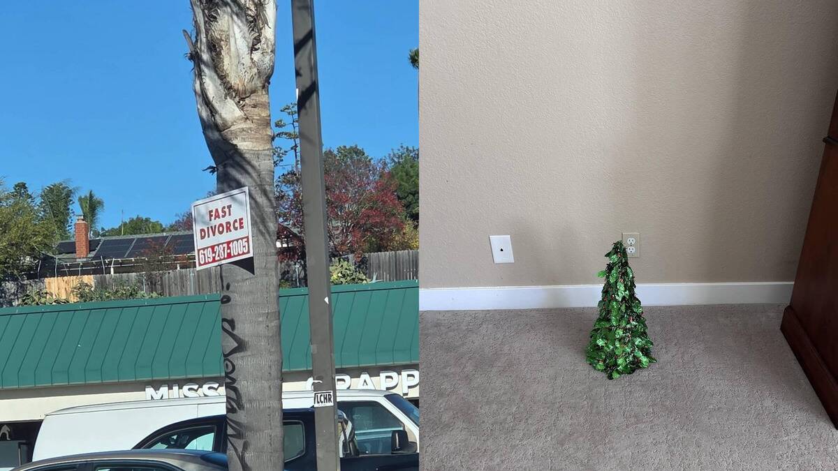 22 moments of the Internet's unfiltered amusement