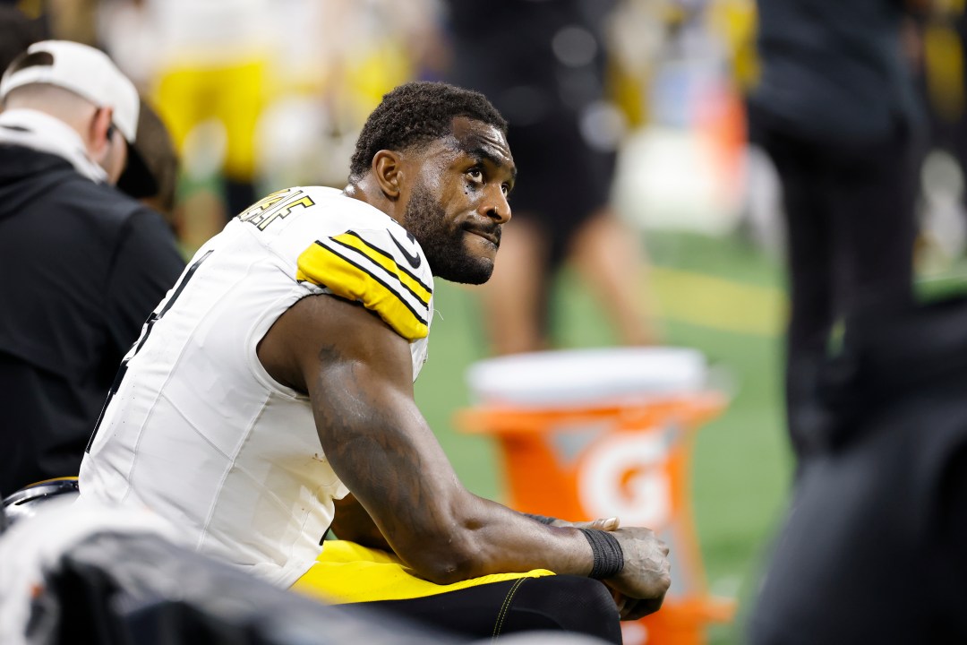 NFL: Steelers DK Metcalf suspended 2 games following altercation with ...