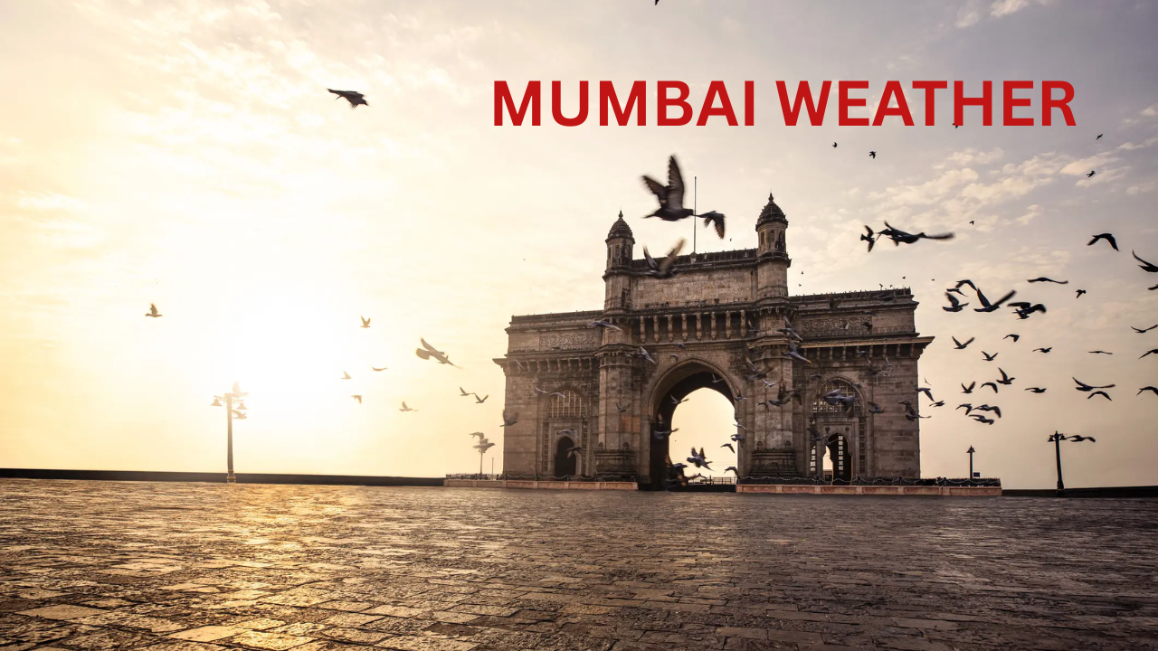 Mumbai breathes better, but cold and hazy morning raises flight ...