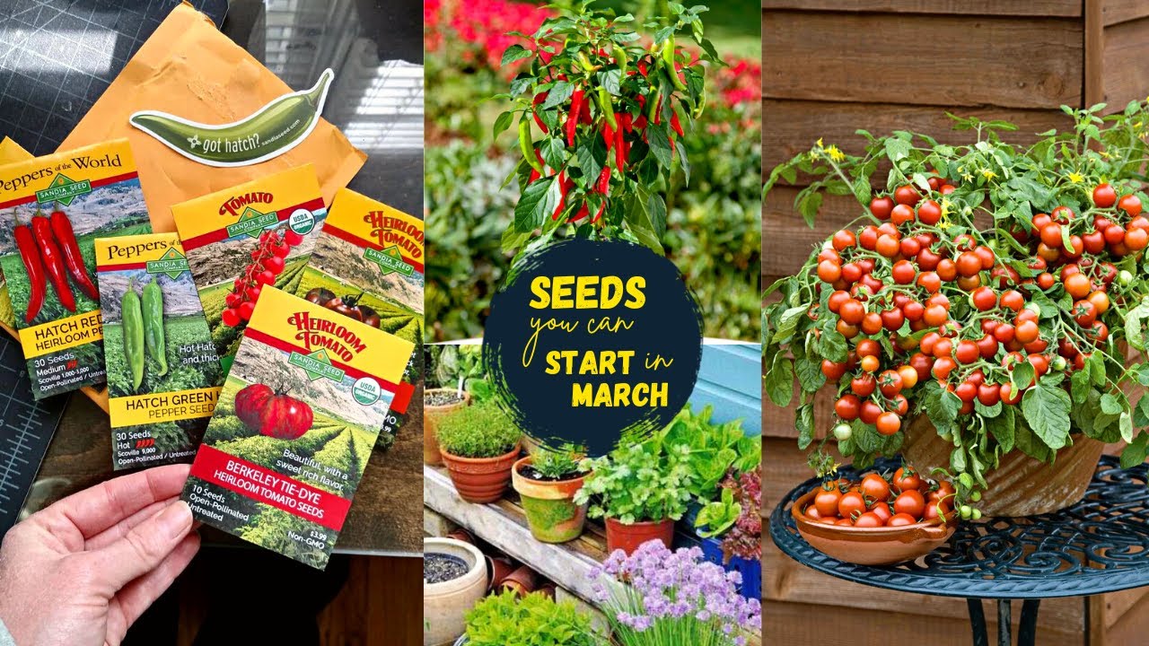 Start these seeds today and transform your garden fast