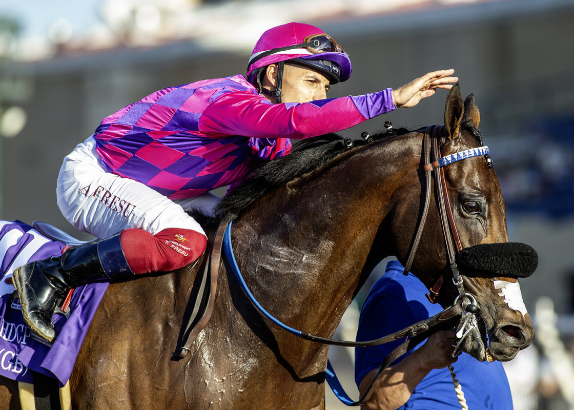 Motorious faces overflow field in Joe Hernandez repeat bid