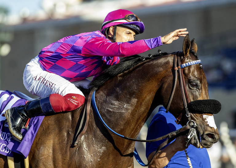 Motorious faces overflow field in Joe Hernandez repeat bid