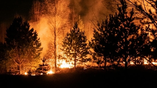 Boulder County wildfire: Evacuation map and live updates as alert ...