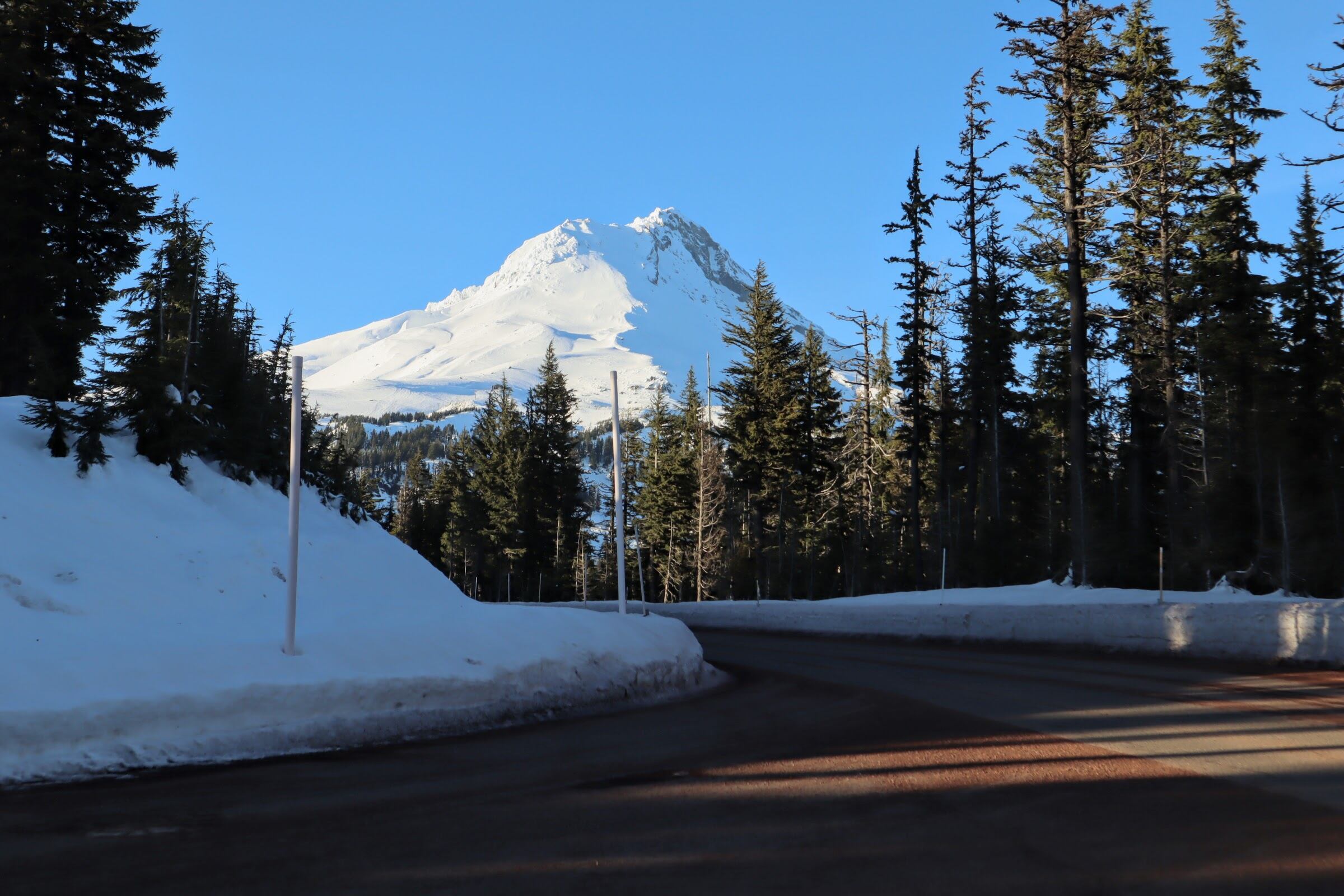 Mt. Bachelor, Mt. Hood Meadows ski resorts announce opening dates