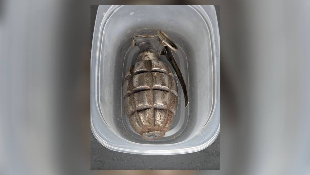 Area bomb squad recovers hand grenade, old ammunition
