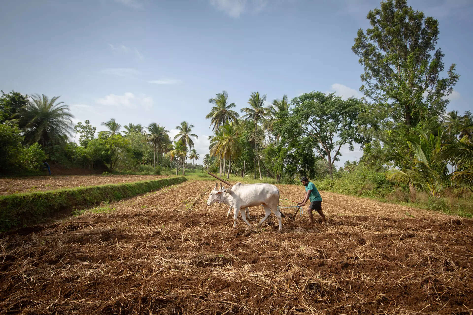 National Farmers Day 2025: Date, theme, history, significance; check ...