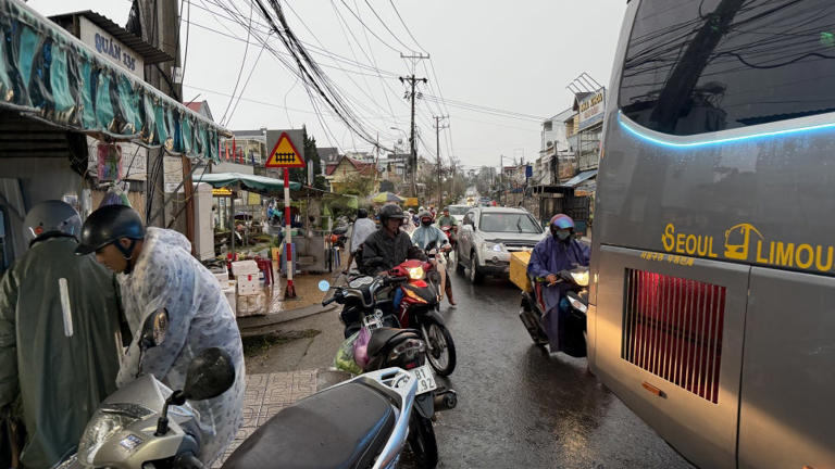 달랏에서 꼭 가볼 만한 독특한 사원 (Linh Phuoc Pagoda)