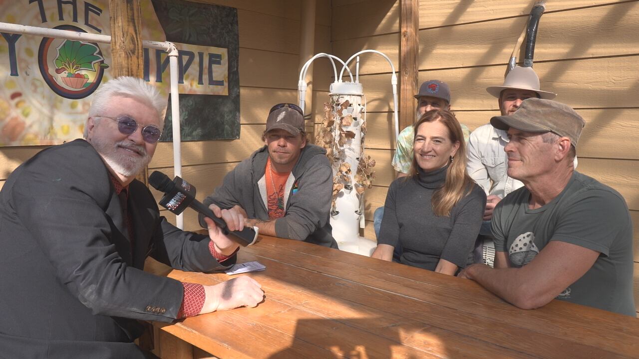Community conversations: Healthy Hippie Cafe to kick off clothing drive ...