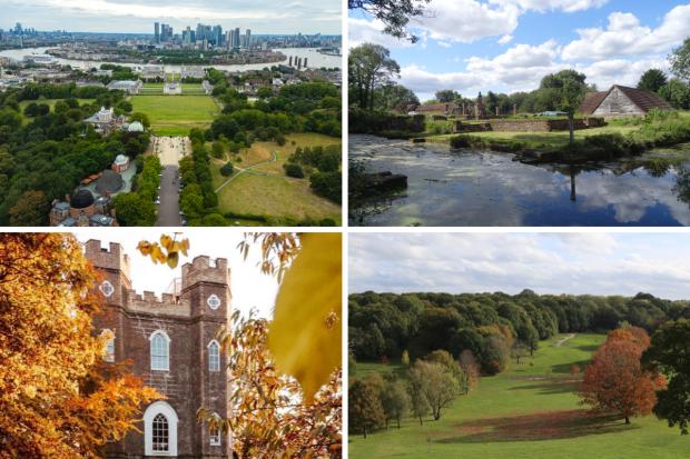 Five of the best South East London winter walks - from woodlands to parks