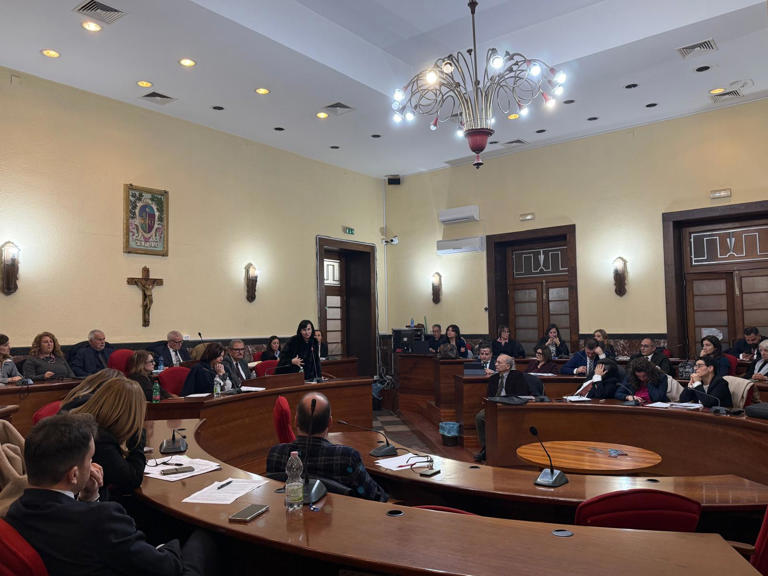 Vibo Valentia, scintille sul bilancio in aula: il disavanzo ingessa ...