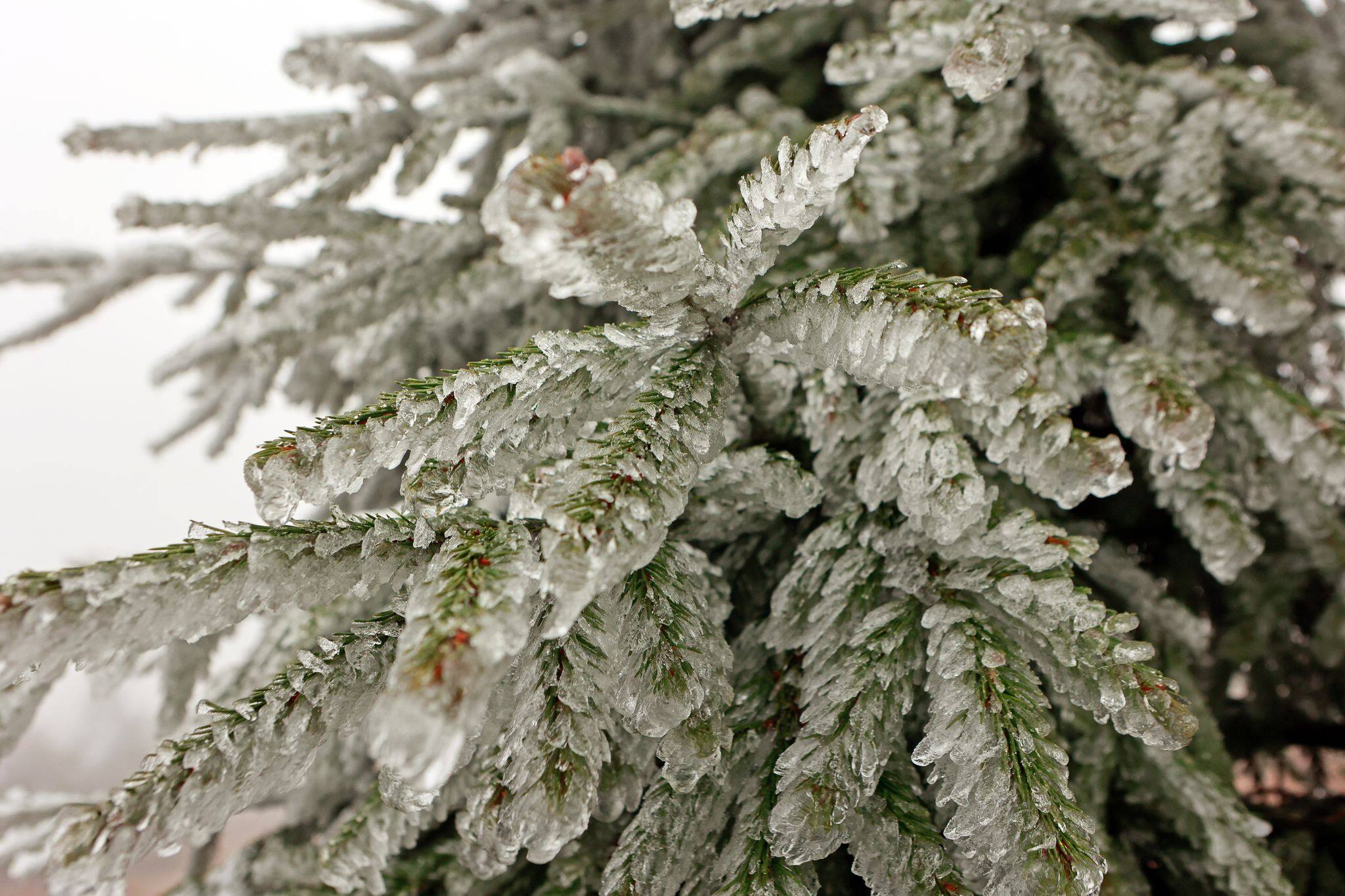 Schneeflocken an Heiligabend in NRW möglich