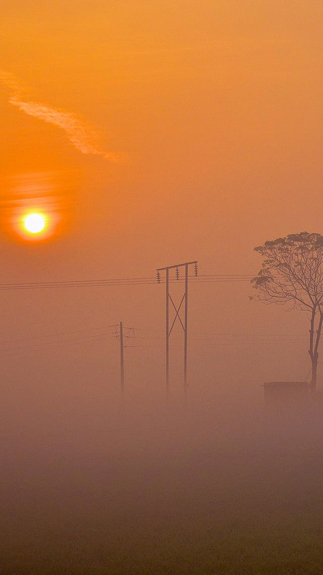 Pollution woes continue as dense fog envelops north and east India
