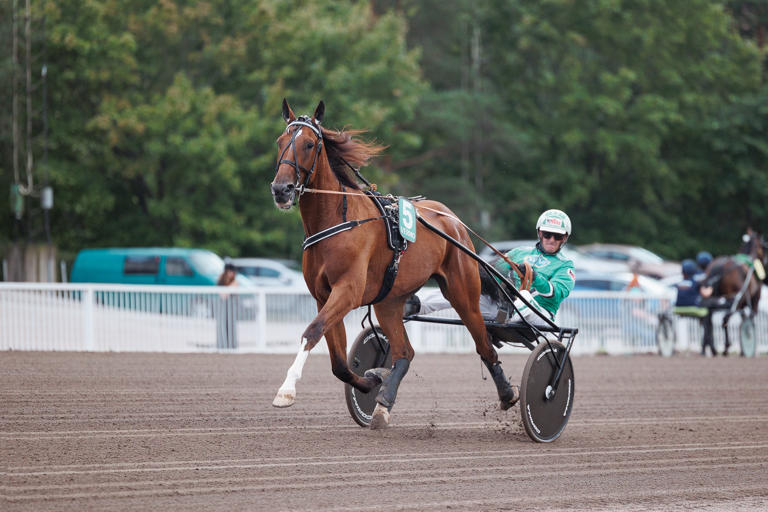 Päivän ravit: Voitokas American Cooper palaa radoille Teivossa