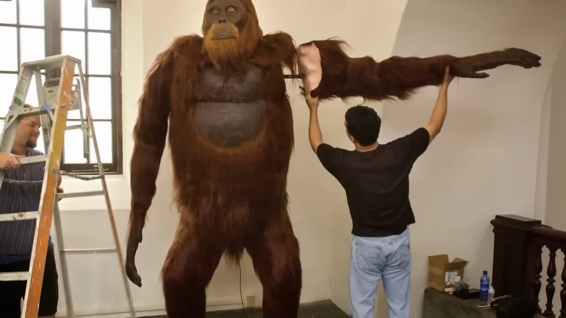 Why this prehistoric ape still haunts scientific debates today