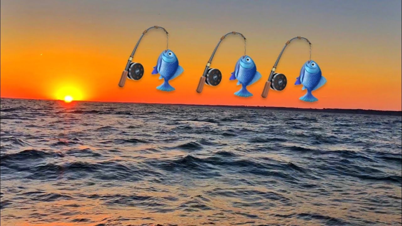 Easy pickerel sunset fishing adventure