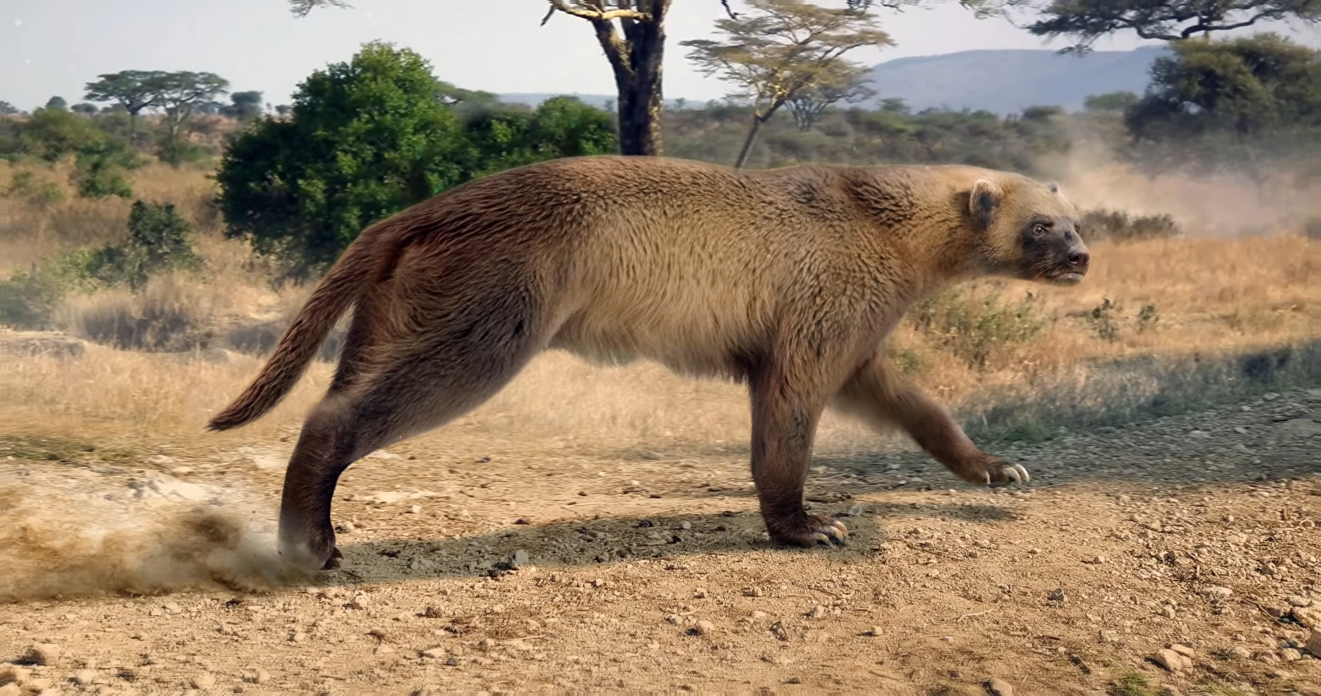 How ancient otters became top predators