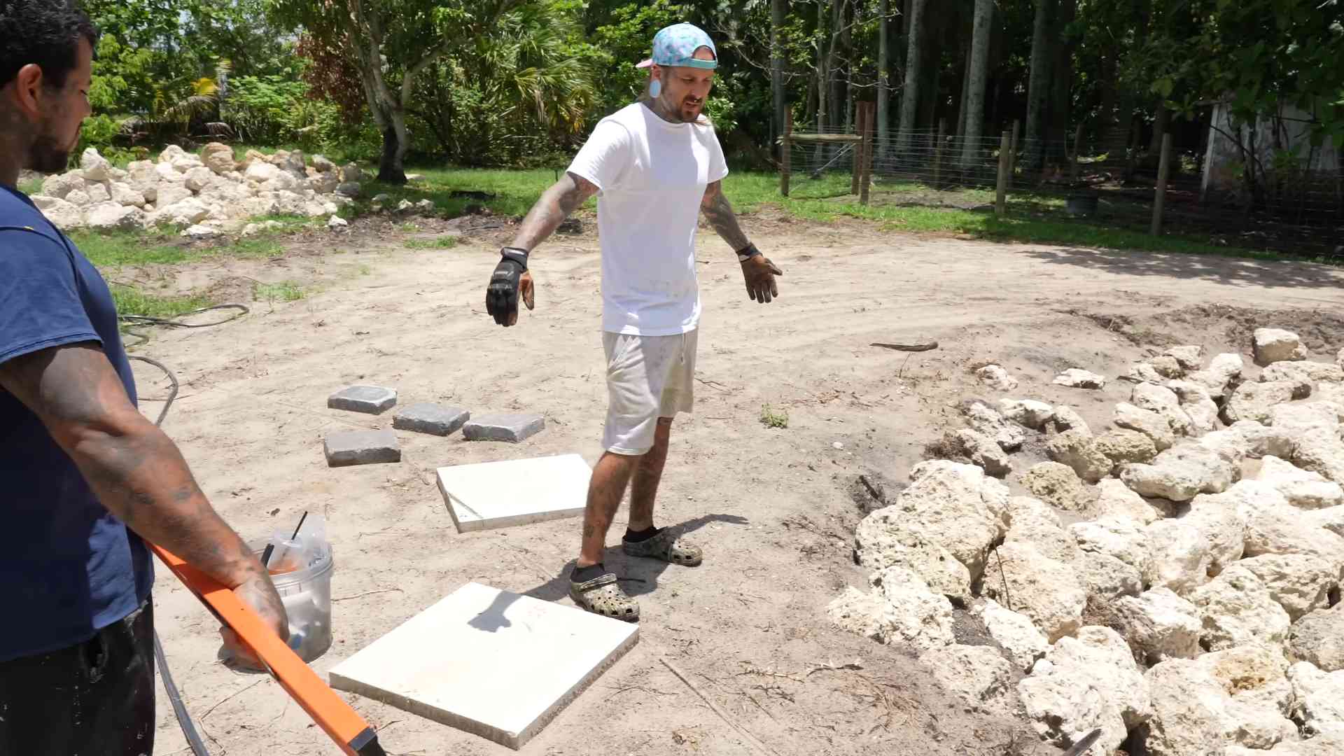 What keeps an alligator pond clean without machines?