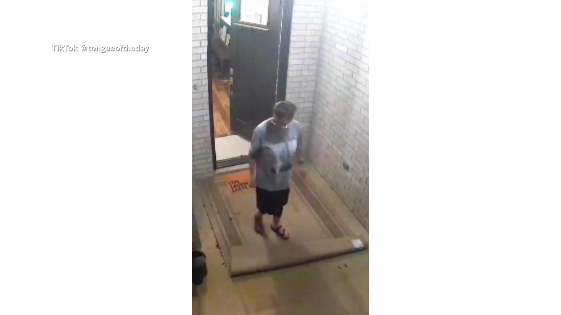 Woman oblivious to snake caught on CCTV